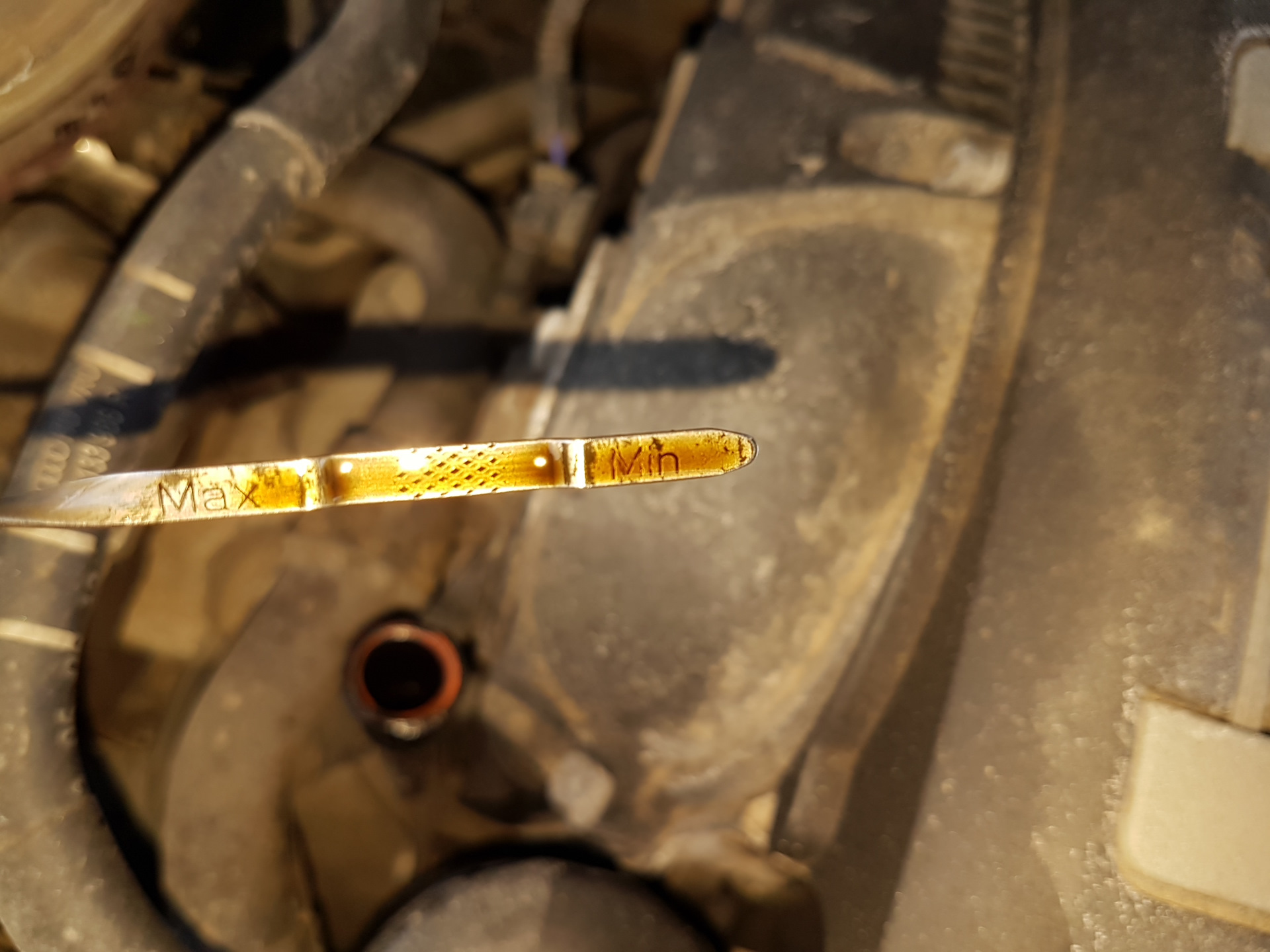 резко так начал расти уровень масла, на морозе… — Skoda Yeti, 1,8 л ...