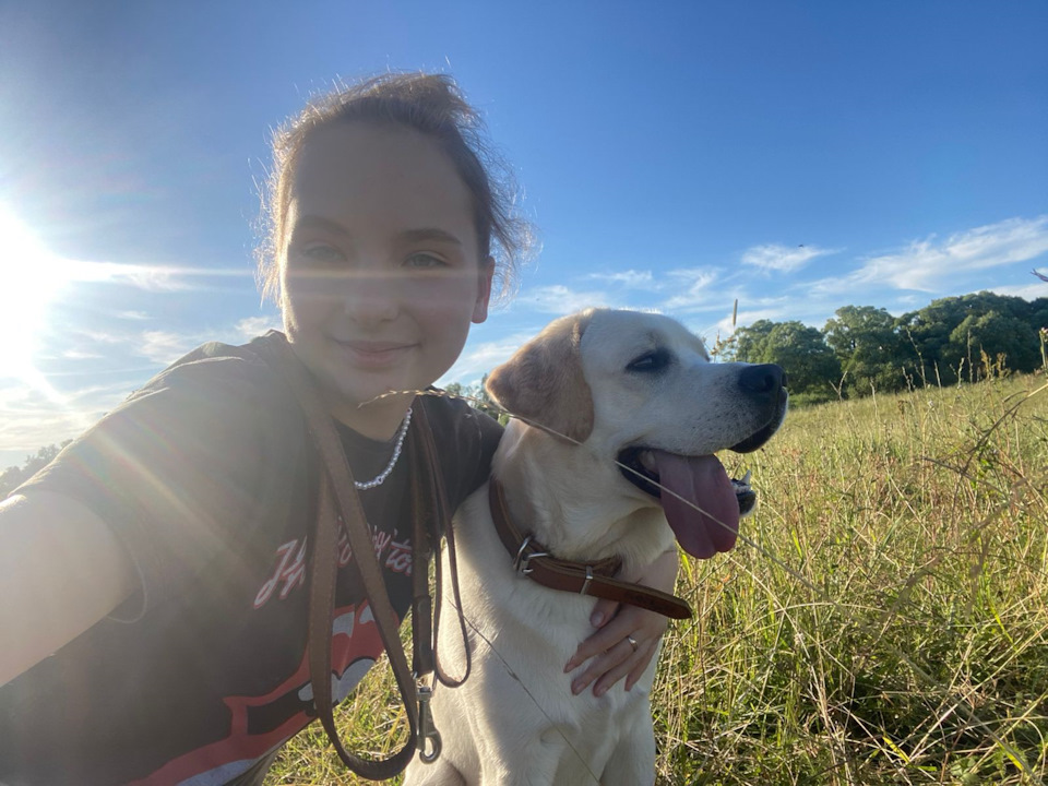 Теперь кроме йорка, ещё и лабрадор — Сообщество «Зверьё Моё» на DRIVE2