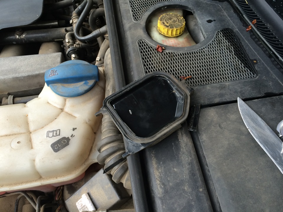 замена лампочки ближнего света н8 — Audi A4 (B6), 1,8 л, 2003 года ...