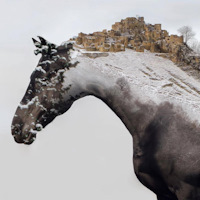 Ошибки P176e, P0810 DSG DQ500 — DRIVE2