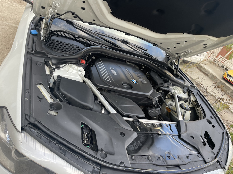 привет, ромашки — BMW 5 series (G30), 2 л, 2018 года | визит на сервис ...