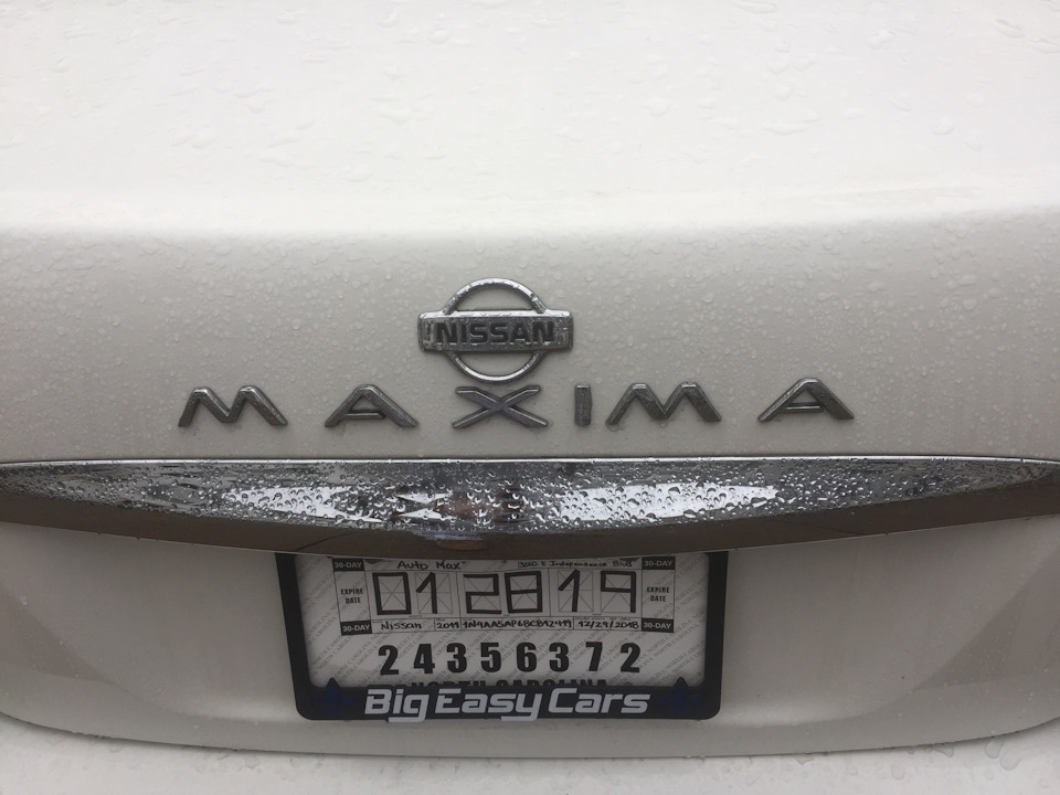 Old Maxima — Nissan Maxima VII (A35), 3,5 л, 2011 года | аксессуары ...
