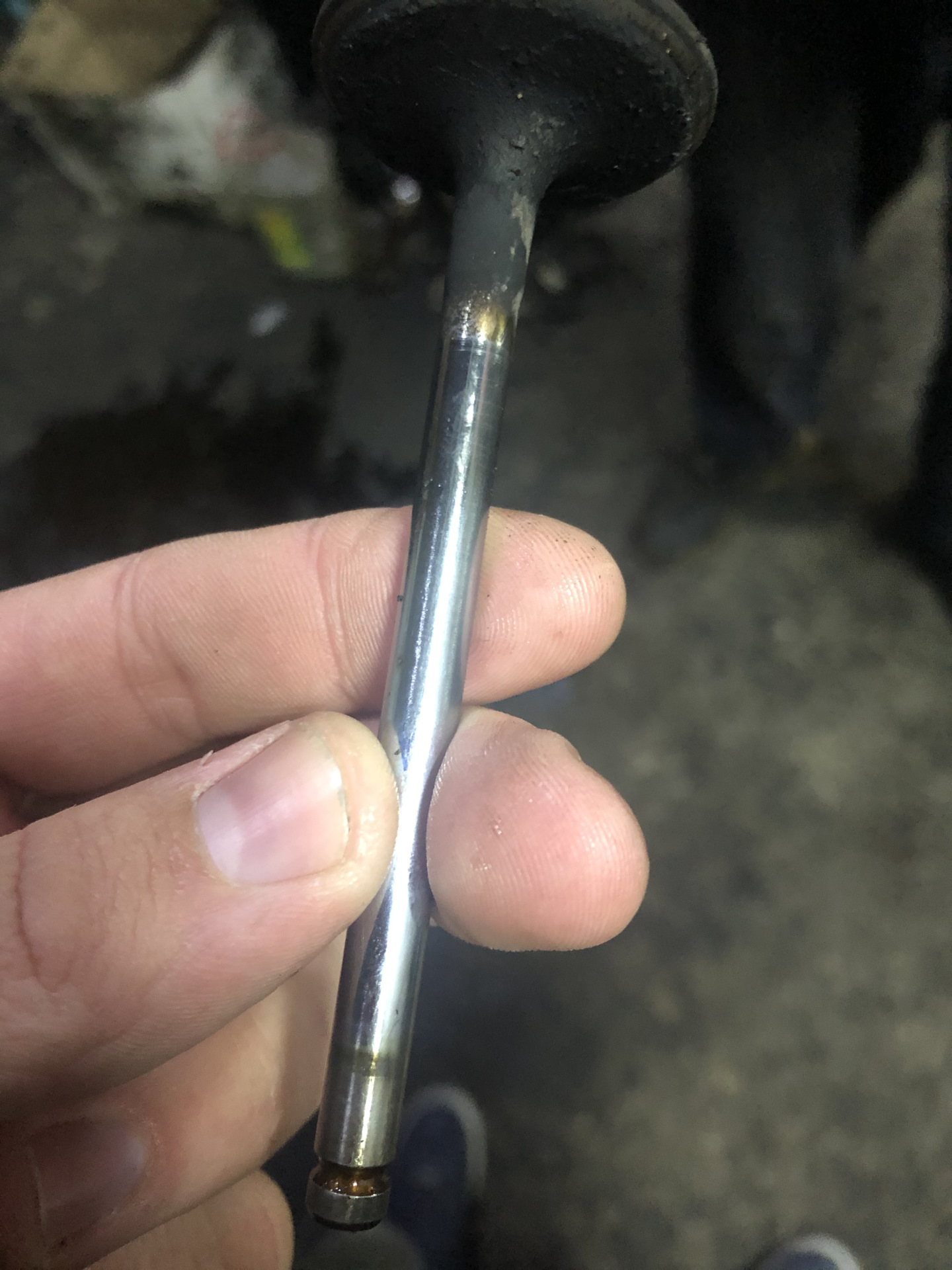 Капитала часть 2 — Daewoo Lanos, 1,5 л, 2003 года | визит на сервис ...