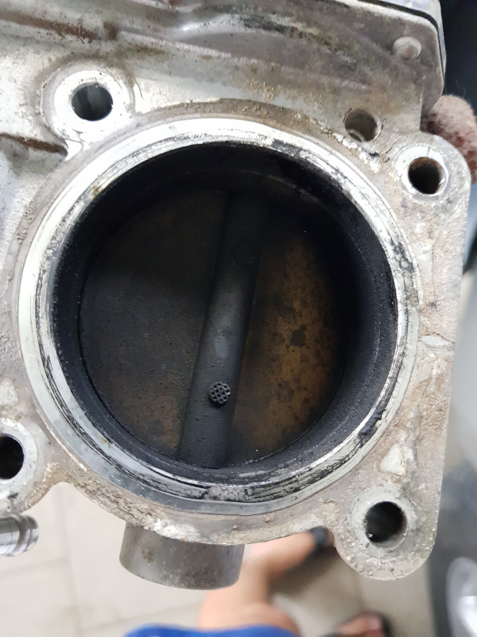 Немного ходовой — Toyota Land Cruiser Prado 120-series, 2,7 л, 2005 ...