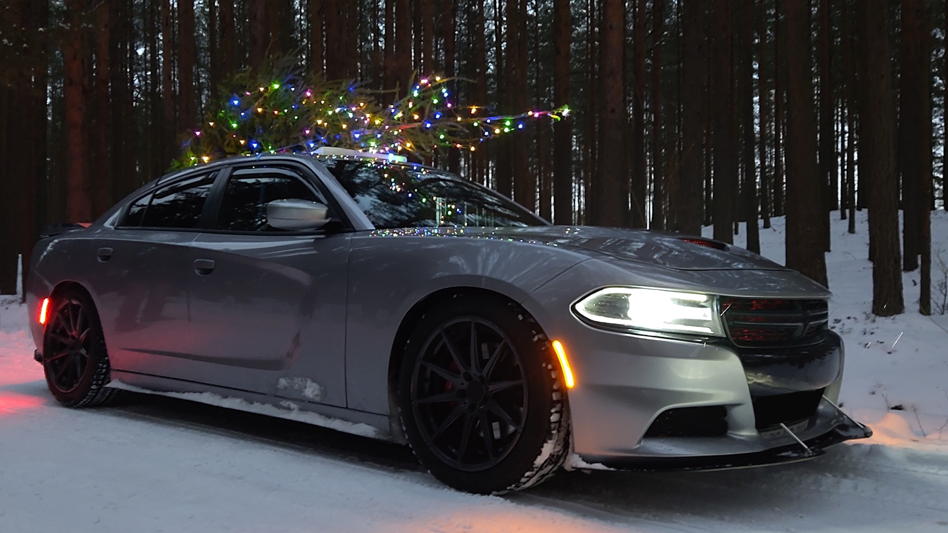 Dodge Charger (7G) 3.6 бензиновый 2017 | "FBI" на DRIVE2