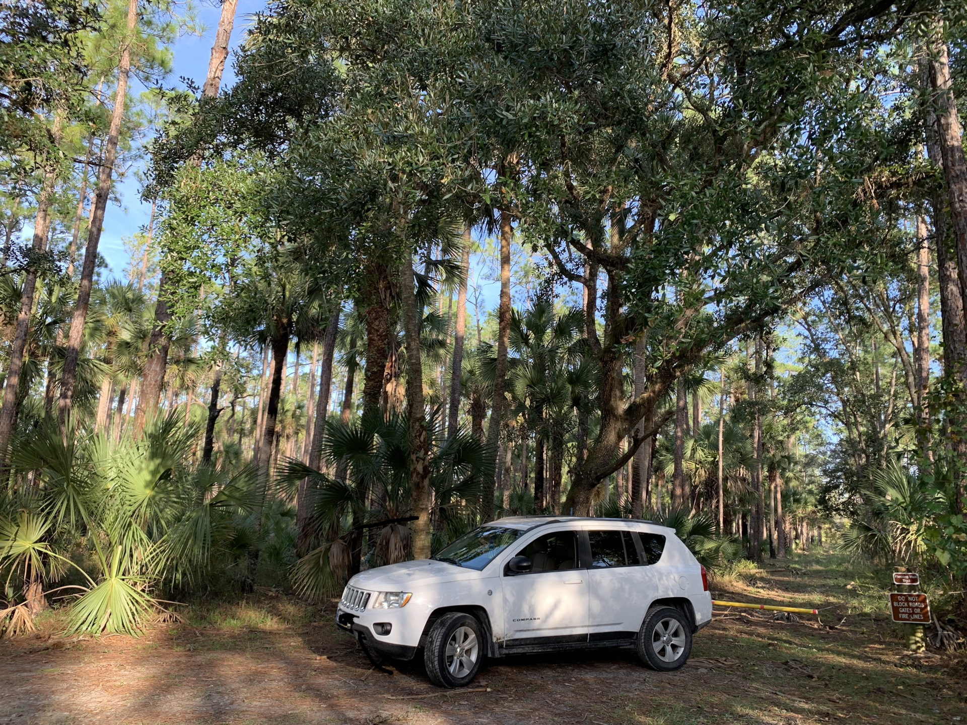 Просто фото — Jeep Compass (1G), 2,4 л, 2011 года | путешествие | DRIVE2