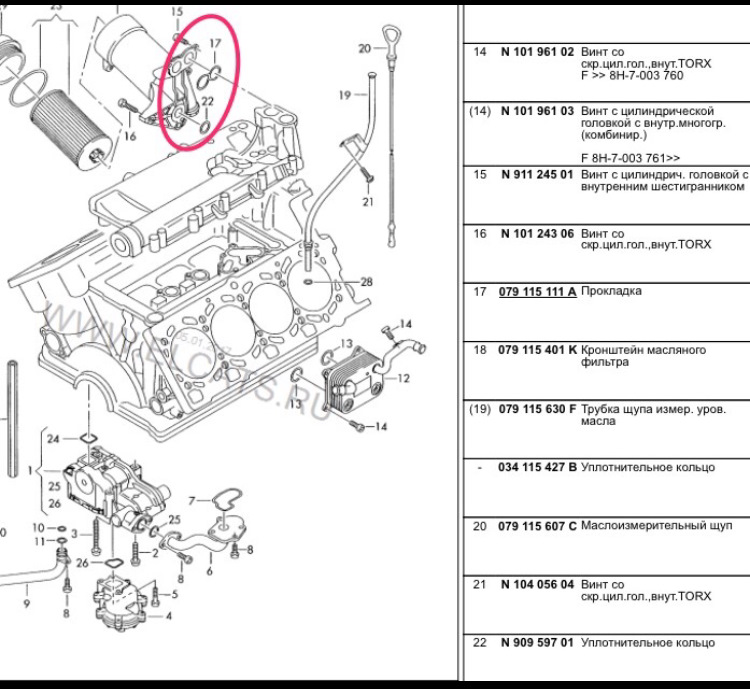 N90959701 Кольцо уплотнительное (22х3,55) / VAG | Запчасти на DRIVE2