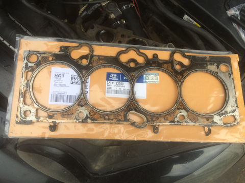 2231123700 Прокладка гбц KIA HYUNDAI | Запчасти на DRIVE2