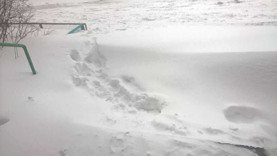 2х канальный усилитель на микросхеме tda 1558q — DRIVE2