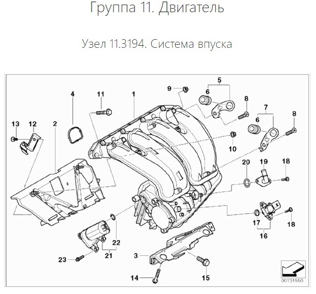 Гайка крепления входного коллектора — BMW 3 series Touring (E46), 2 л ...