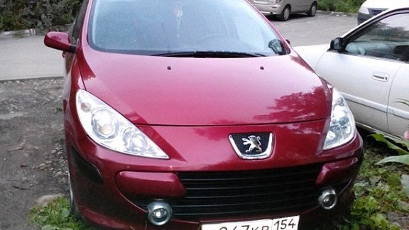 Electric Circuit Faulty: второй день, полет нормальный! — Peugeot 307 ...
