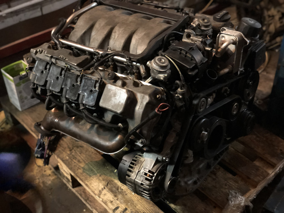 Установка 5.5 AMG — Mercedes-Benz E-Class (W210), 5,5 л, 1997 года ...