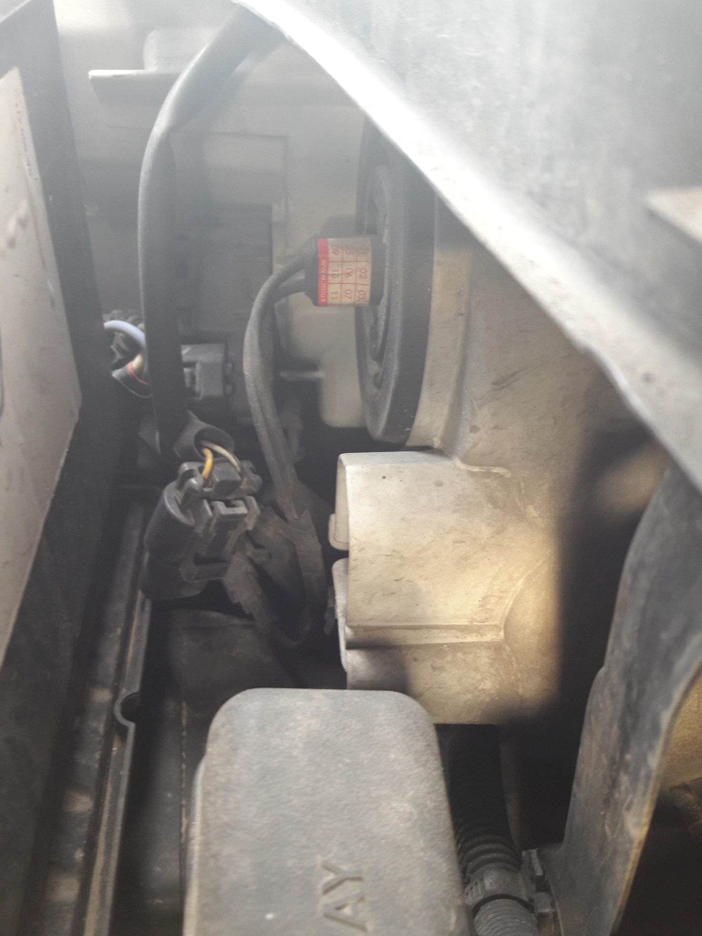 Цоколь ксенона — Toyota Camry (XV40), 2,4 л., 2007 года | электроника ...