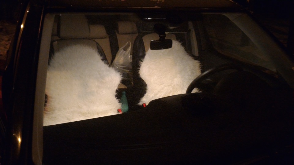 Шкурки для йетика — Skoda Yeti, 1,2 л, 2012 года | аксессуары | DRIVE2
