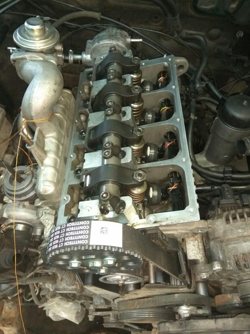 CT1020 РЕМЕНЬ ГРМ CONTITECH | Запчасти на DRIVE2