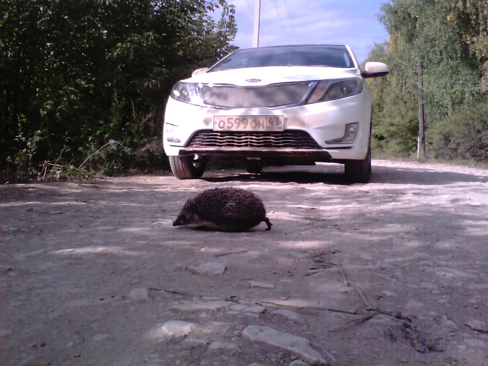 Литые тапочки Yokatta Model-10 — KIA Rio (3G), 1,6 л, 2013 года ...