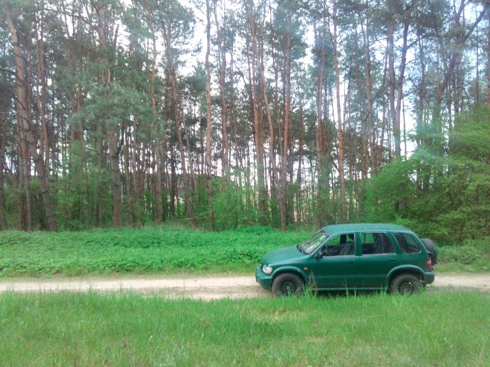 Зелёное на зелёном) — KIA Sportage (1G), 2 л, 2002 года | фотография ...