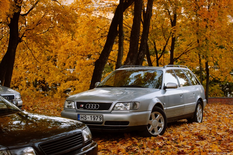 Первая фотосесия — Audi S6 (C4), 4,2 л, 1996 года | фотография | DRIVE2