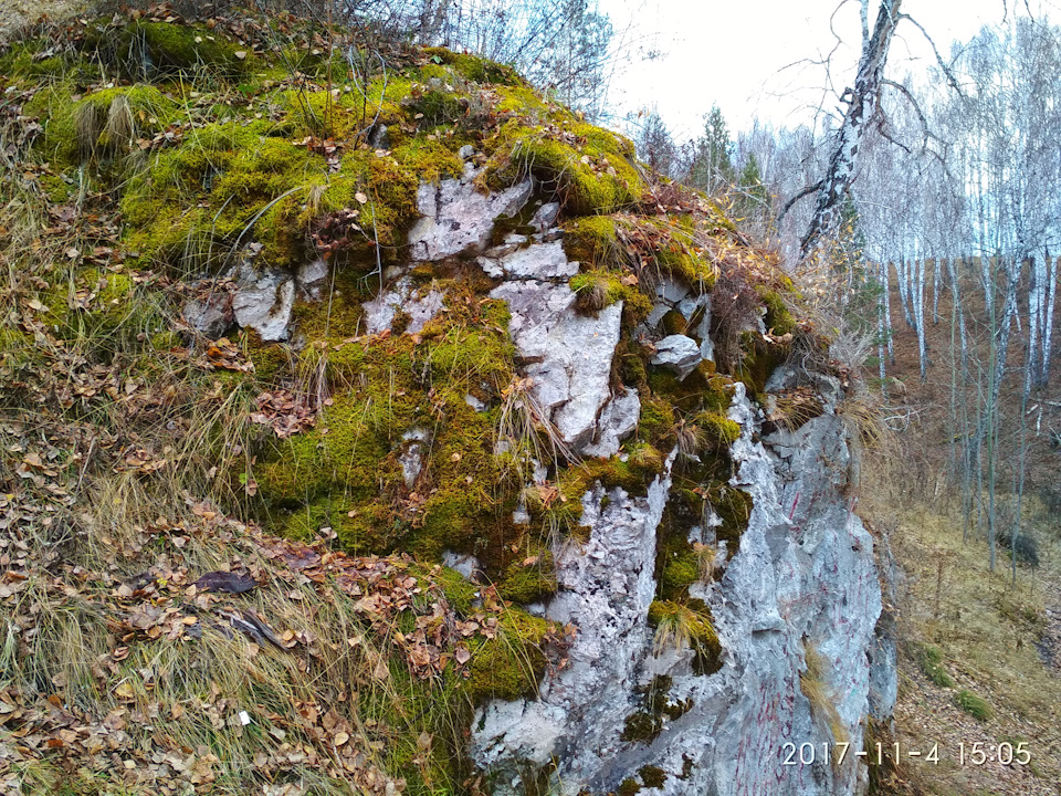 1141505 Патрубок радиатора Ford | Запчасти на DRIVE2