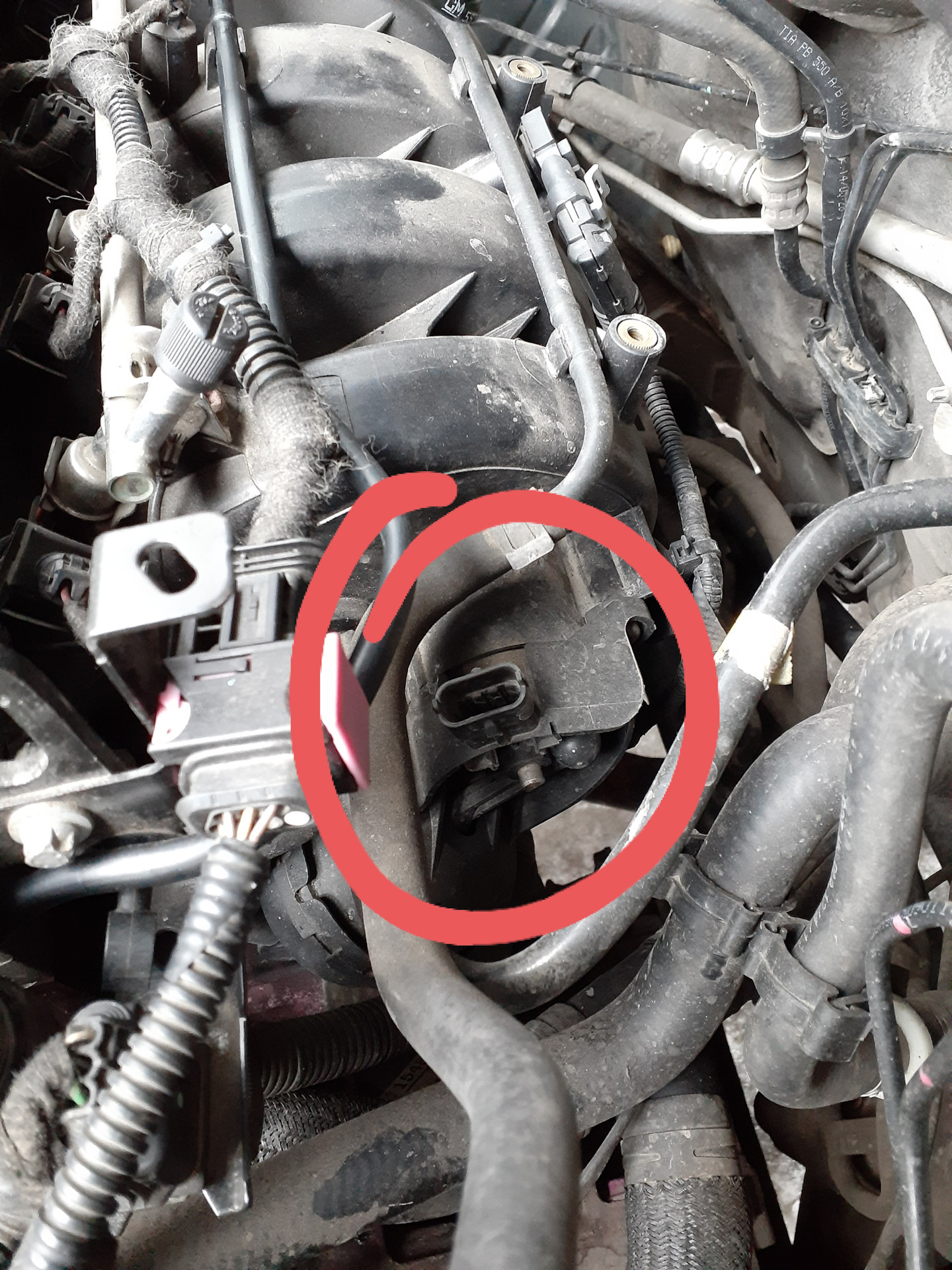 Плановое ТО + родовые болячки Cruze — Chevrolet Cruze (1G), 1,8 л, 2014 ...