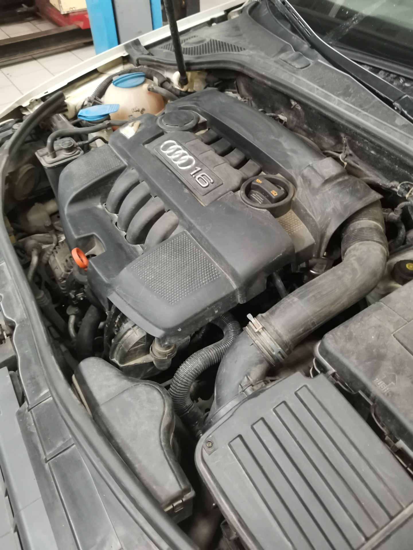 Т. О. и устранение некоторых косяков. — Audi A3 Sportback (8PA), 1,6 л ...