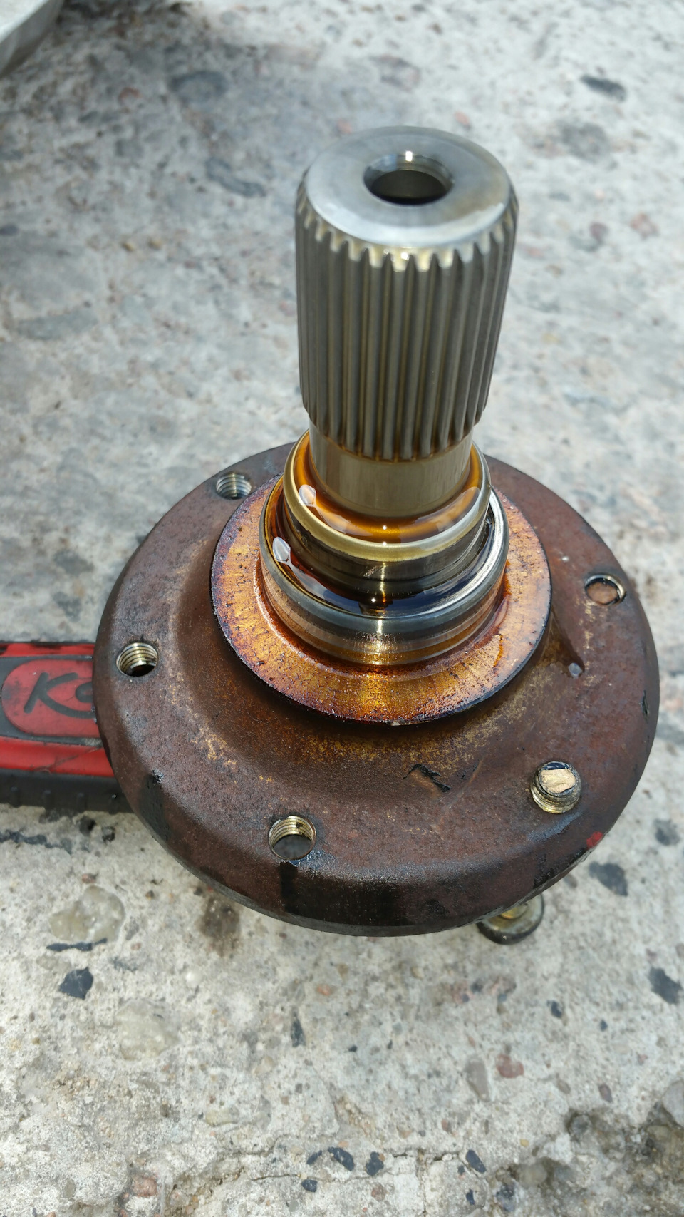 Замена сальника дифференциала (ТОРСЕН) — Audi A6 Avant (C5), 2,5 л ...