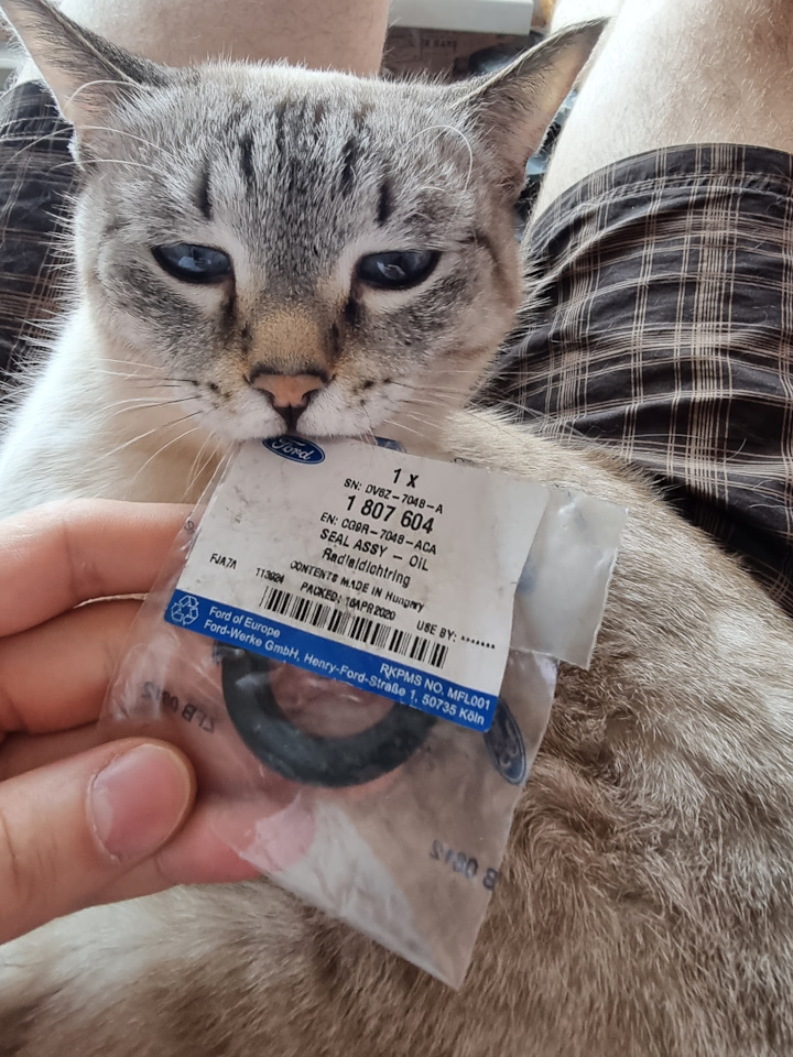 1807604 Сальник первичного вала МКПП / 90~ Ford | Запчасти на DRIVE2