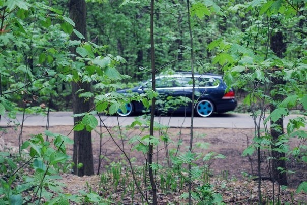 Golf mkV variant — Сообщество «Static Crew» на DRIVE2