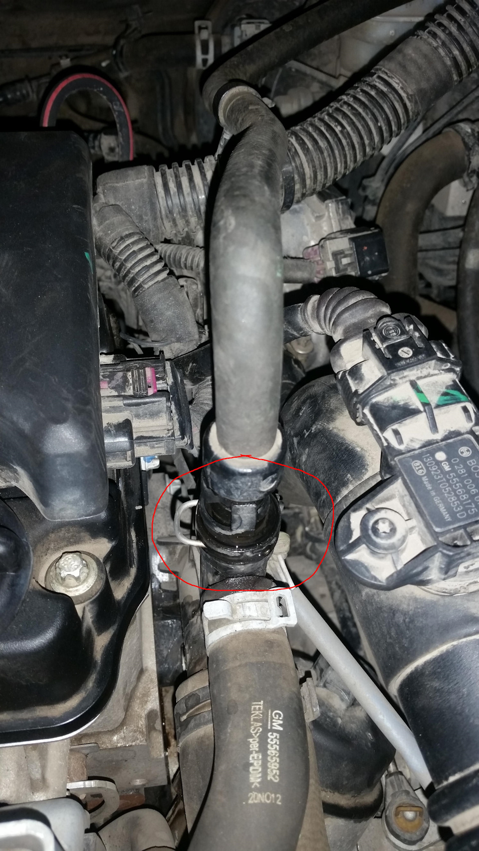 55565952 Шланг маслоохладителя GM | Запчасти на DRIVE2