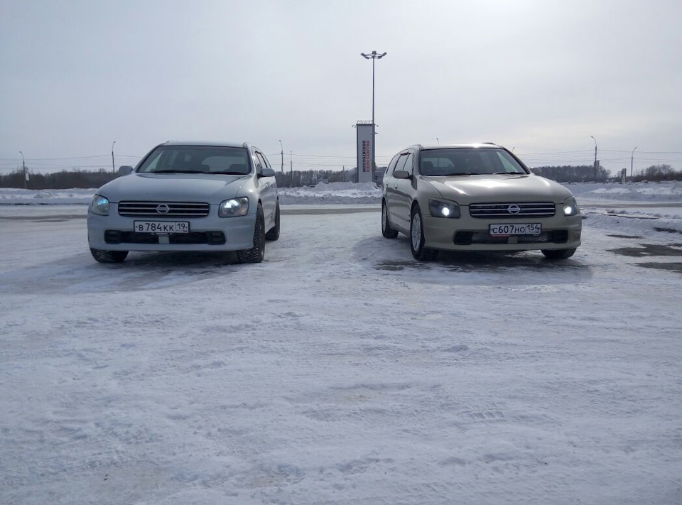 Встретились, Потрещали, Понаваливали… — Nissan Stagea (M35), 2,5 л ...