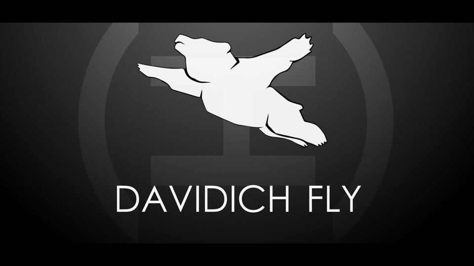 Davidich Fly #1 — DRIVE2