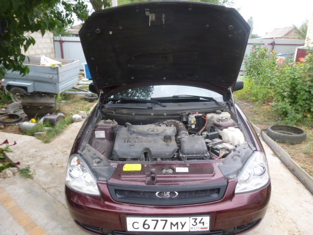 Газовые упоры для капота — Lada Приора хэтчбек, 1,6 л, 2011 года ...