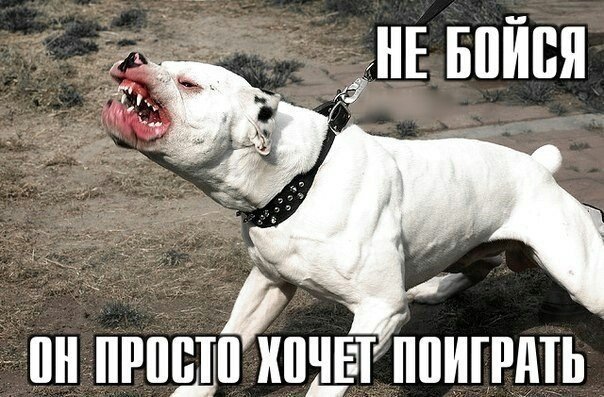 Не так страшен русский танк, как его пьяный экипаж. — Сообщество ...
