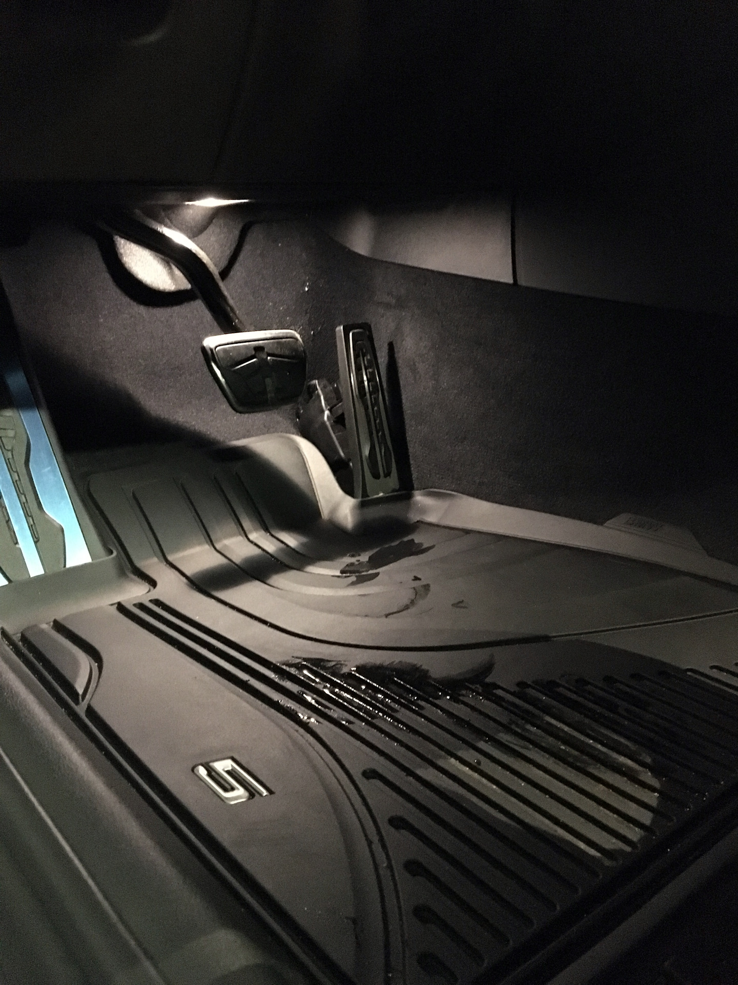 Коврики на зиму — BMW 5 series (G30), 3 л, 2017 года | аксессуары | DRIVE2