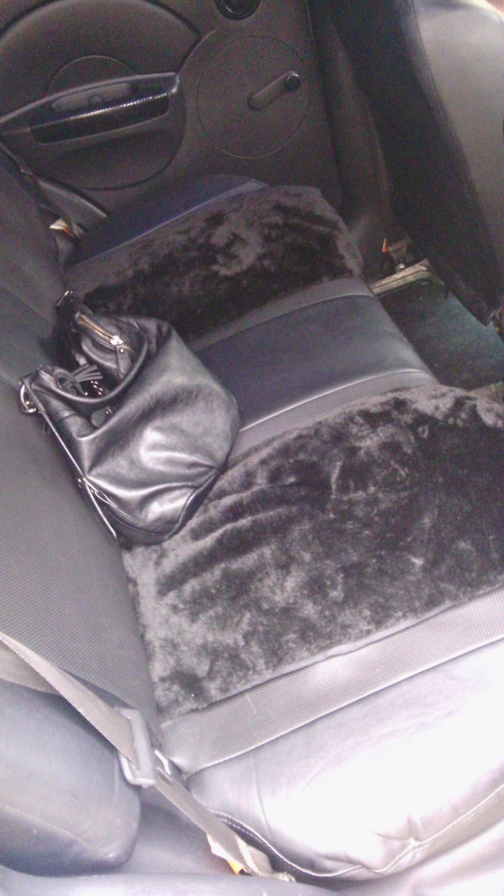 Подпопники) — Chevrolet Aveo 5-door (1G), 1,4 л, 2007 года | аксессуары ...
