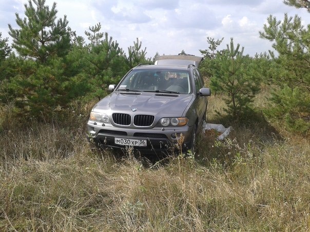 В лес за грибами))) — BMW X5 (E53), 3 л, 2003 года | тест-драйв | DRIVE2