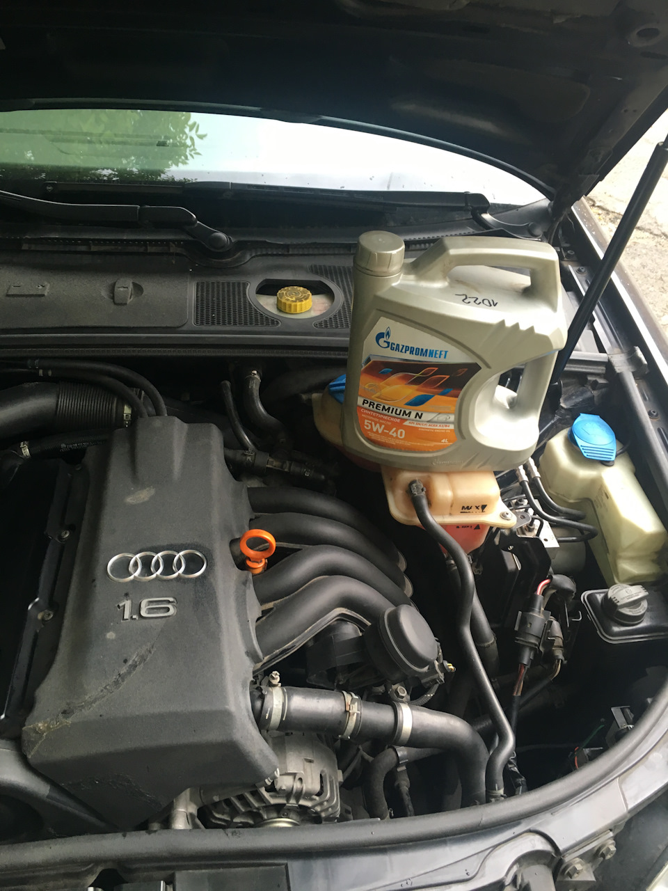 Замена масла, Gazpromneft вместо motul — Audi A4 (B7), 1,6 л, 2006 года ...