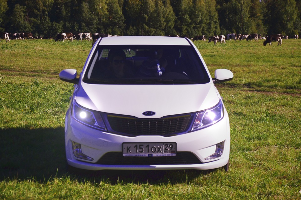 Подсел на-KOKS — KIA Rio (3G), 1,6 л, 2012 года | наблюдение | DRIVE2