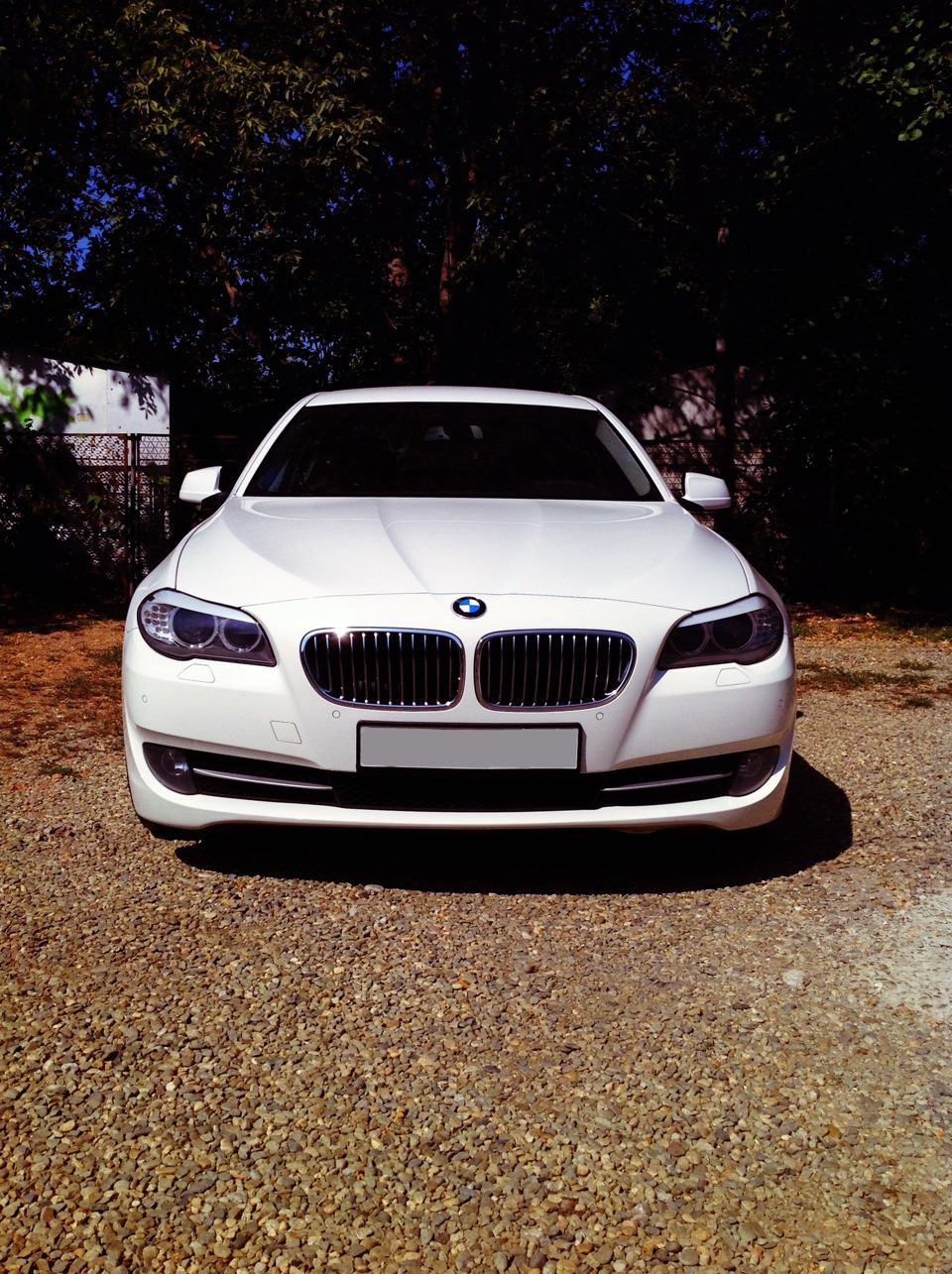 Продается! — BMW 5 series (F10), 2 л, 2011 года | продажа машины | DRIVE2