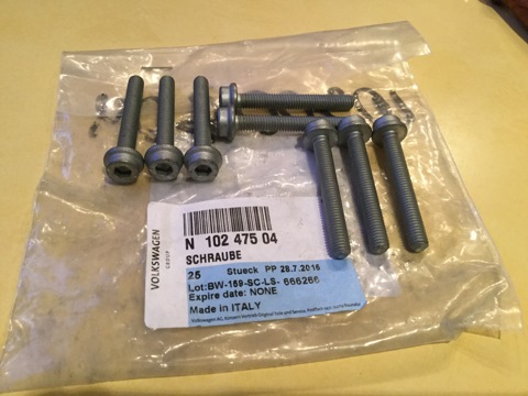 N10247504 БОЛТ КРЕПЛЕНИЯ КЛАПАННОЙ КРЫШКИ/ZYL.SCHR VAG | Запчасти на DRIVE2