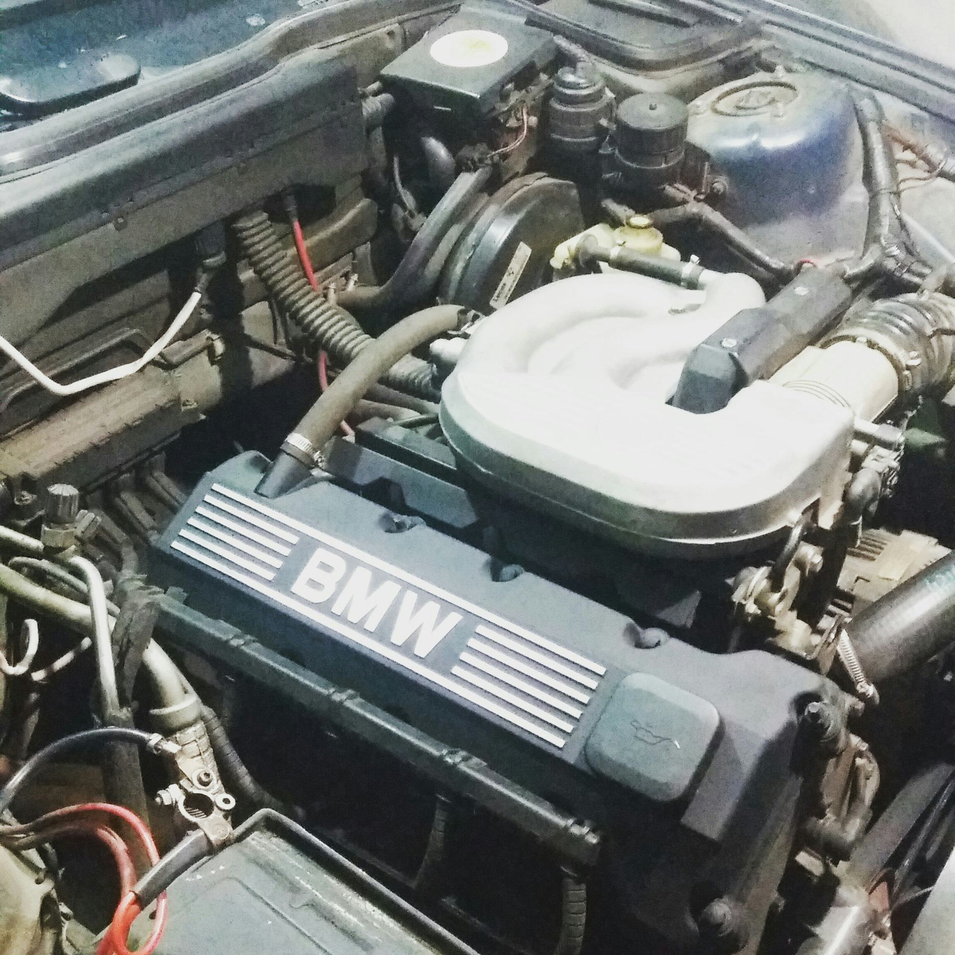 Замена масла в Двс — BMW 5 series (E34), 1,8 л, 1994 года | плановое ТО ...