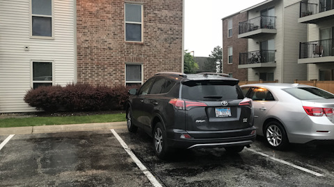 Toyota RAV4 (IV) 2.5 бензиновый 2018 | Rafo на DRIVE2