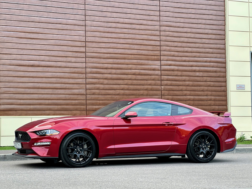 Наконец-то забрал Мустанг! — Ford Mustang (6G), 2,3 л, 2017 года ...