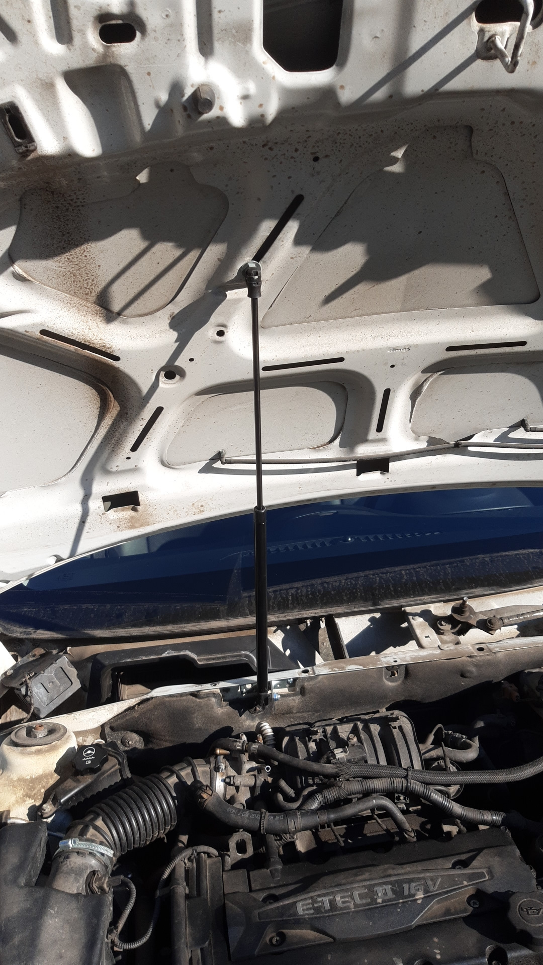 Газлифт капота — Chevrolet Cruze (1G), 1,6 л, 2010 года | стайлинг | DRIVE2