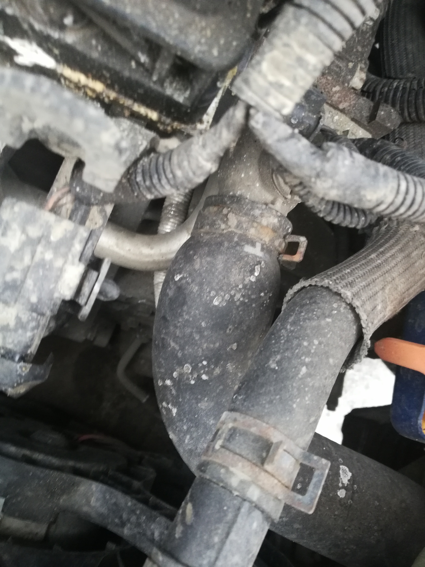 Замена патрубков радиатора — Chevrolet Aveo Sedan (1G), 1,4 л, 2010 ...