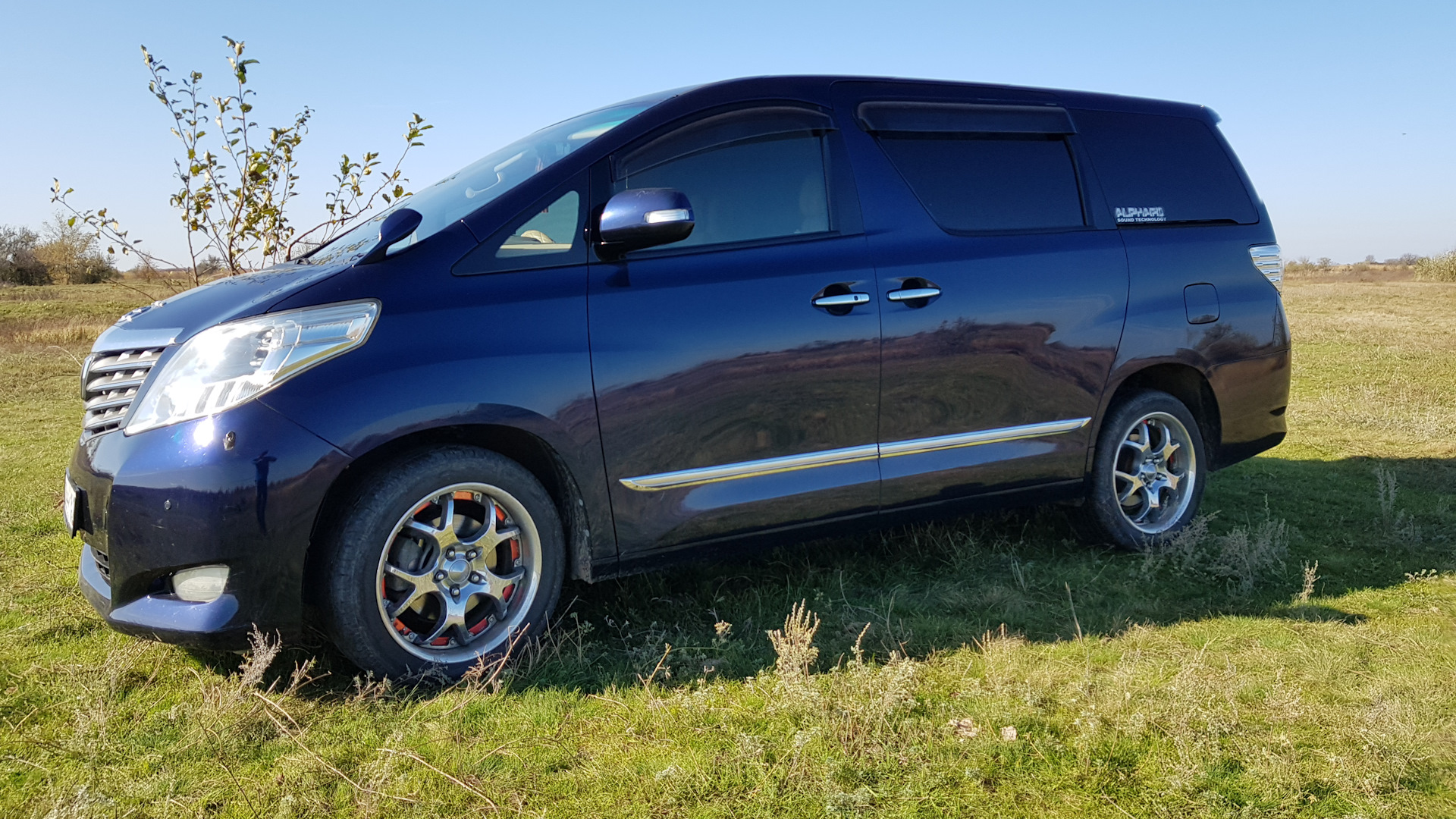 Toyota Alphard (2G) 2.4 бензиновый 2009 | 4WD на DRIVE2