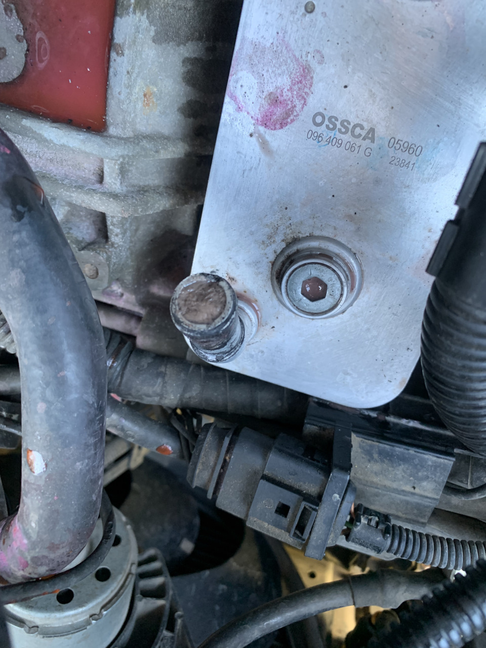 096409061G Радиатор масляный VAG | Запчасти на DRIVE2