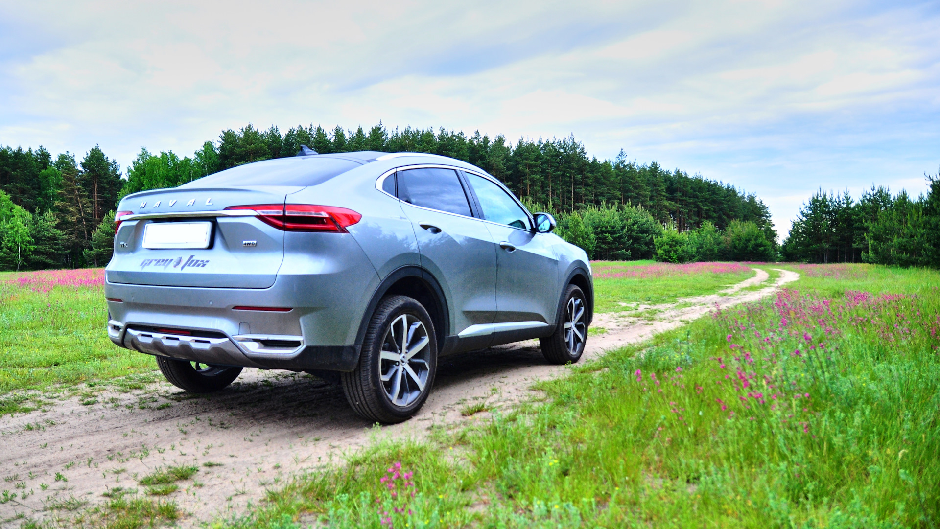 Брендинг нейминга — Haval F7x, 1,5 л, 2021 года | стайлинг | DRIVE2