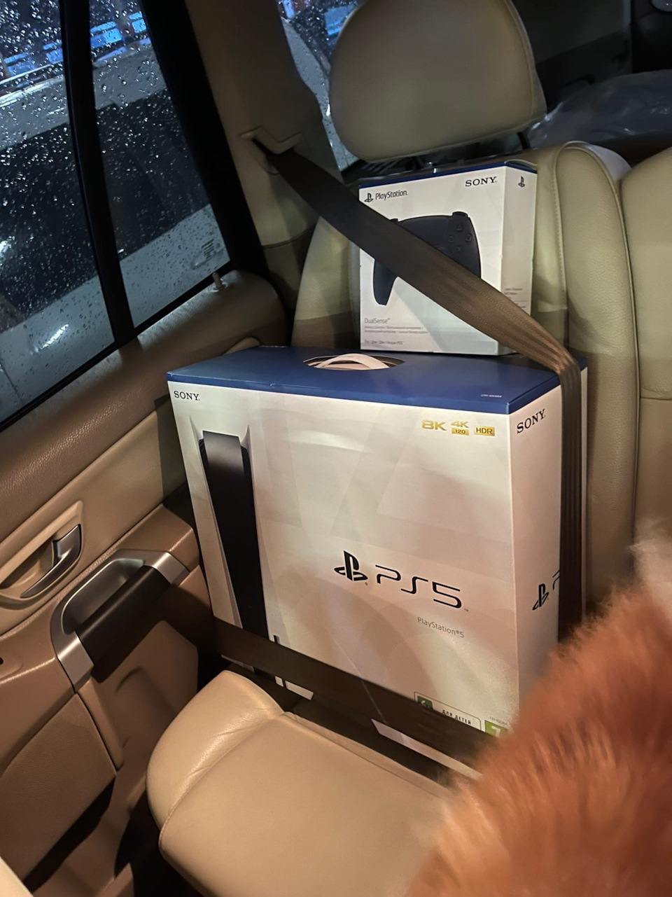 PS5, подарок от жены и довольный шпиц! — Volvo XC90 (1G), 2,5 л, 2007 года | фотография | DRIVE2