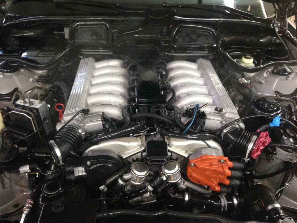 Моем V12 — BMW 7 series (E38), 5,4 л, 1998 года | мойка | DRIVE2